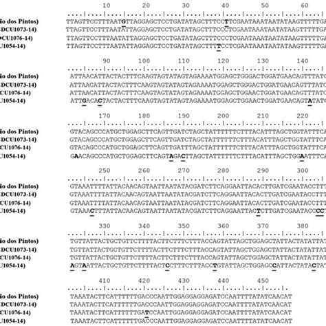 alignment of a partial cytochrome oxidase subunit i coi gene sequence
