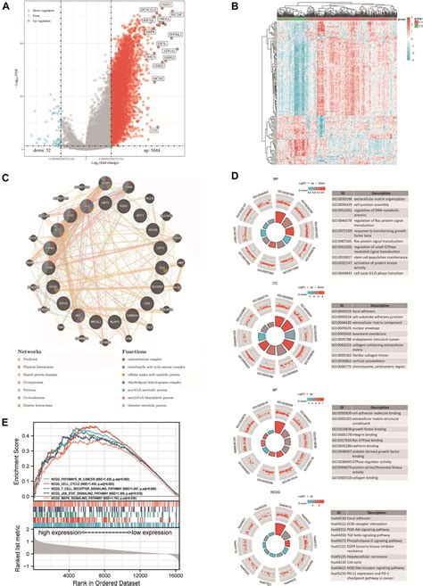 Frontiers Comprehensive Analysis Of Cuproptosis Related Prognostic