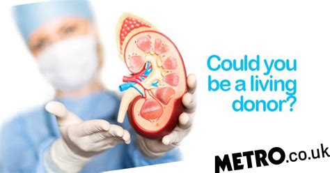Organ Donation Week Is There An Age Limit And How To Join The Register