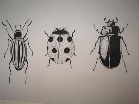 hand drawn original bug insect picture