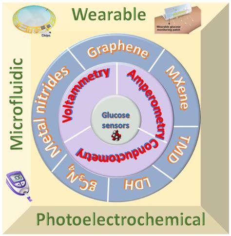 Biosensors Free Full Text Recent Developments And Future