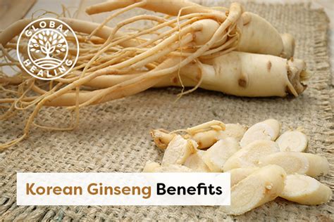 Korean Ginseng 7 Health Benefits From This Powerful Root