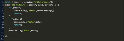 index php nodejs execute binary file and get output code
