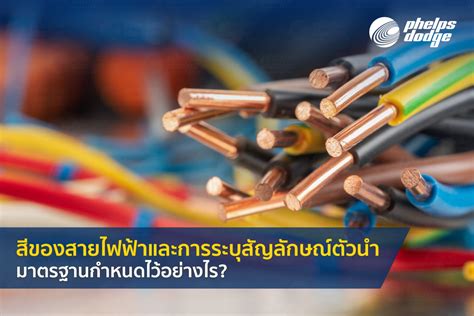 สีของสายไฟฟ้า และการระบุสัญลักษณ์ตัวนำ มาตรฐานกำหนดไว้อย่างไร