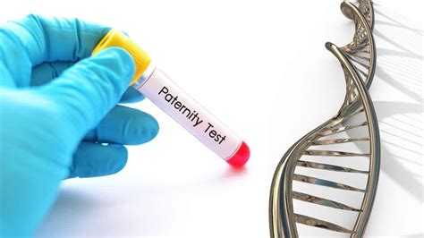 All You Need To Know About At Home Dna Testing Kits For Paternity