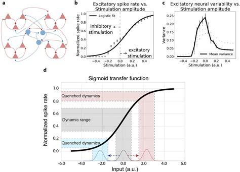 Inferring The Mean Field Transfer Function Of A Neural Population With