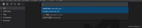vscode无法登录leetcode，[error] invalid password 不是很彳亍的博客 程序员秘密 程序员秘密