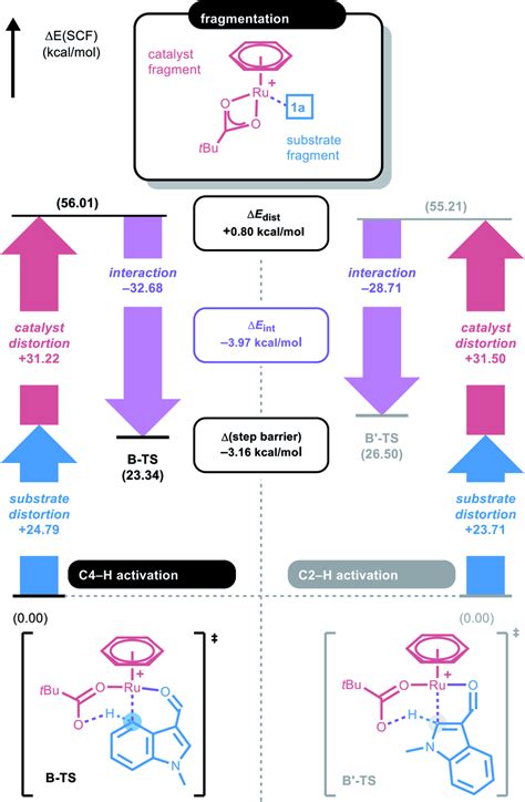Distortion Interaction Analysis Diagram For B Ts And B′ Ts Download