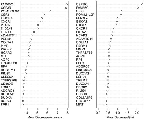 development of a susceptibility gene based novel predictive model for