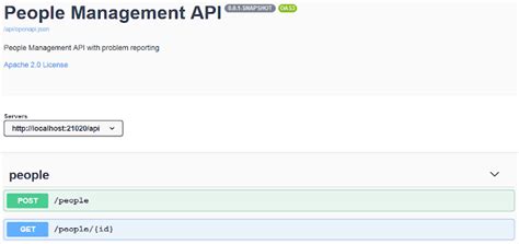 when status code is not enough tackling web apis error reporting
