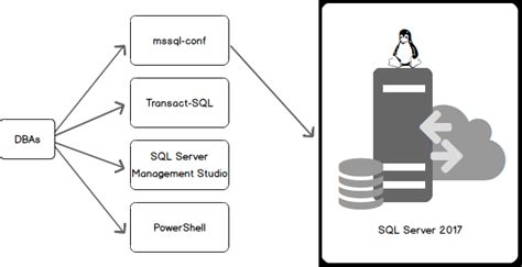 installation guidance for sql server on linux sql server