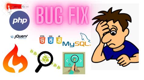 fix bugs errors and issues in you websites by tanveer kaka fiverr