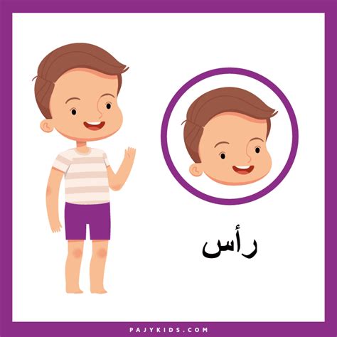 بطاقات تعليمية للأطفال اجزاء الجسم للاطفال بالعربية