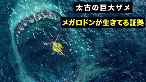 【ゆっくり解説】絶滅は嘘 メガロドン生存を裏付ける衝撃的な証拠【2023年最新版】 Youtube