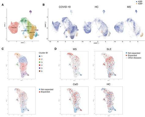 Kir Cd8 T Cells Suppress Pathogenic T Cells And Are Active In