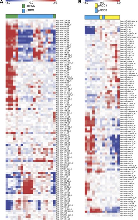 Hierarchical Clustering The Mirnas Identified As Differentially