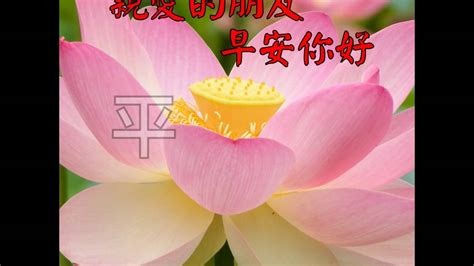 【動態長輩圖4】早安你好，平安喜樂 Youtube