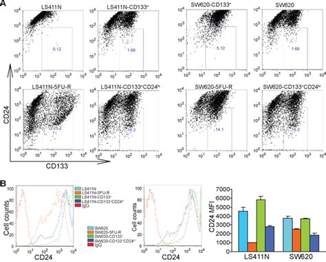 Cd133 Cd24 Lo Defines A 5 Fluorouracil Resistant Colon Cancer Stem
