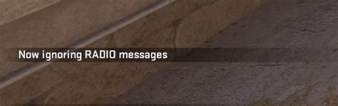 how to disable and mute radio commands in cs go