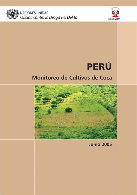 Pdf Monitoreo De Cultivos De Coca · Hasta Mediados De Los