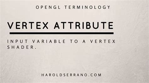 opengl terminology vertex attribute is an input variable to a vertex