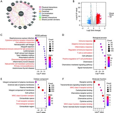 Ythdf1 Involved In Various Immune Related Pathways A The Gene Gene
