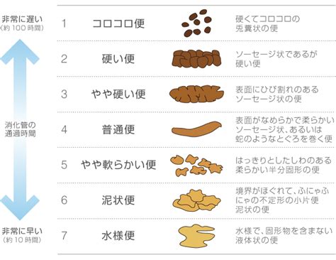便の色・形状で健康状態が分かる？チェックするポイントとは｜阪神御影駅前のきのしたクリニック