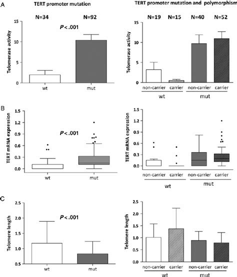 Impact Of Tert Promoter Mutation And Snp Rs2853669 Allelic Variant