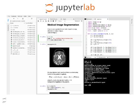 jupyter frontends from the classic jupyter notebook to jupyterlab