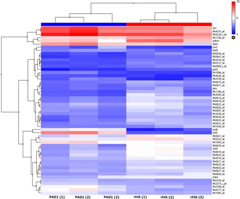 Differentially Expressed Genes Hierarchical Clustered Heatmaps Of The