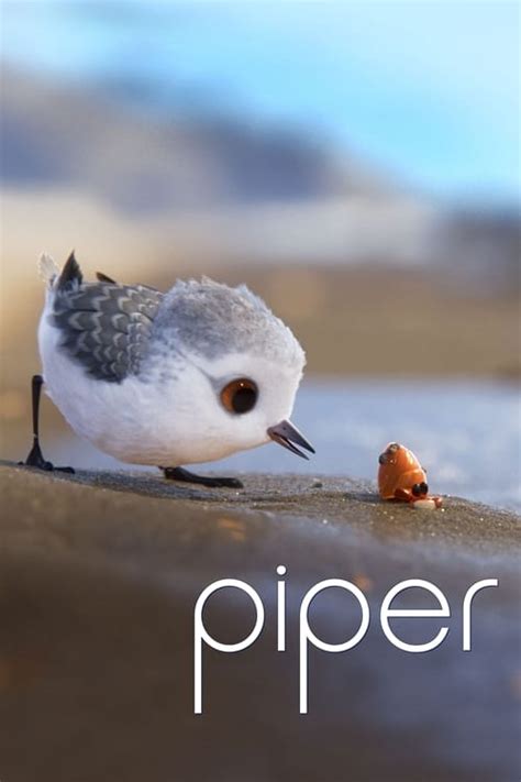 Piper 2016 — The Movie Database Tmdb