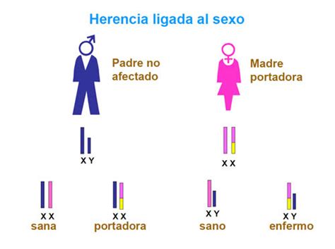 Biologia Molecular Herencia Genética