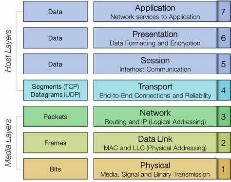 which osi layer provides file transfer services fightlasopa