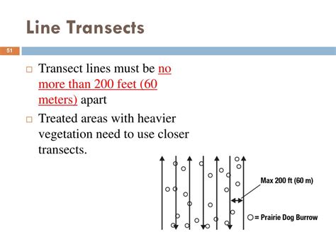 Line Transect Definition Biology At Sean Autry Blog