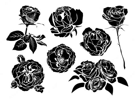 葉と茎が白い背景で隔離の黒いシルエットのバラの花のベクトルを設定 プレミアムベクター