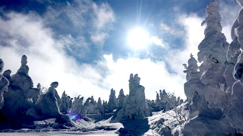 1月下旬〜3月が見ごろ。冬だけの絶景、山形・蔵王の美しき樹氷 Trip Editor