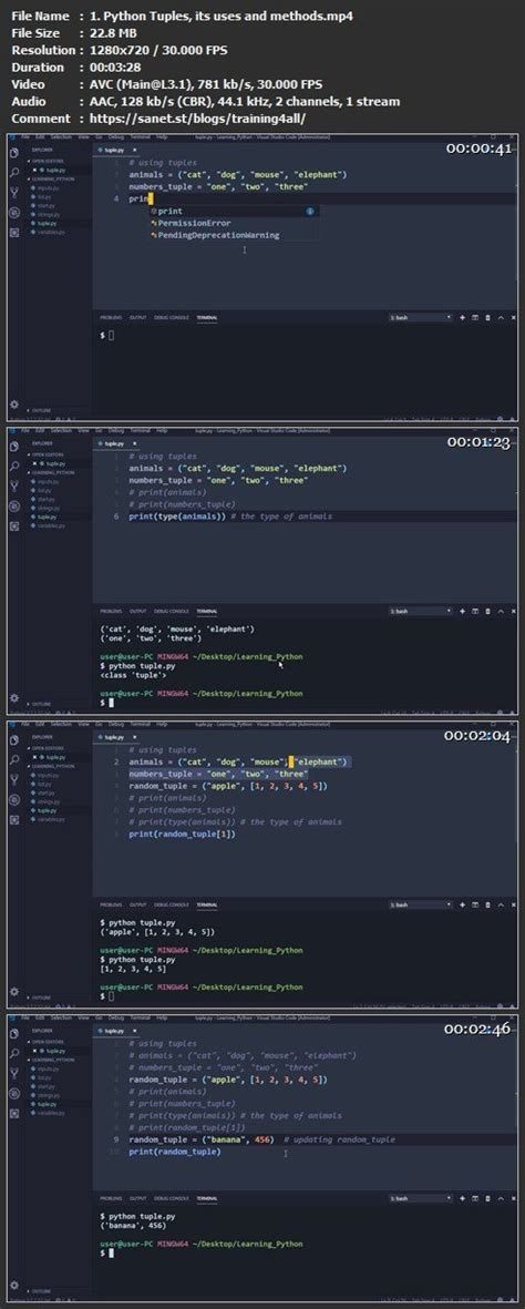 download python essentials mastering programming with python