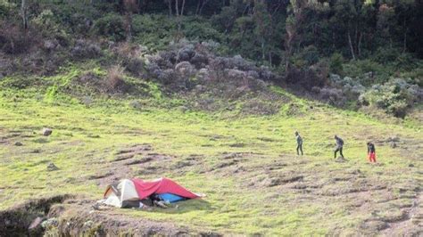 Pendaki Meninggal Di Toilet Gunung Gede Pangrango Penyebab Kematian