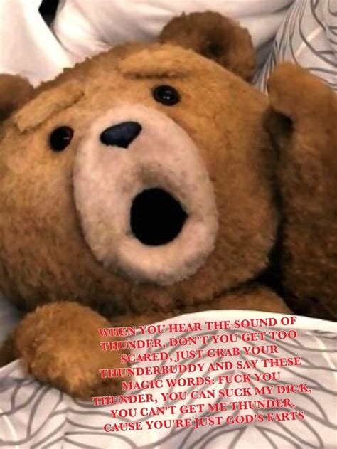 Pin By Tanalia Santa On Chuskas😆 Teddy Bear Pictures Ted Bear Ted Movie