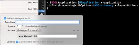 ios xcode lldb print statements fail nsundomanager stack overflow