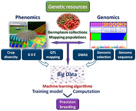 Plants Free Full Text Applications And Trends Of Machine Learning
