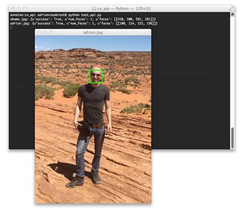 creating a face detection api with python and opencv in just 5 minutes