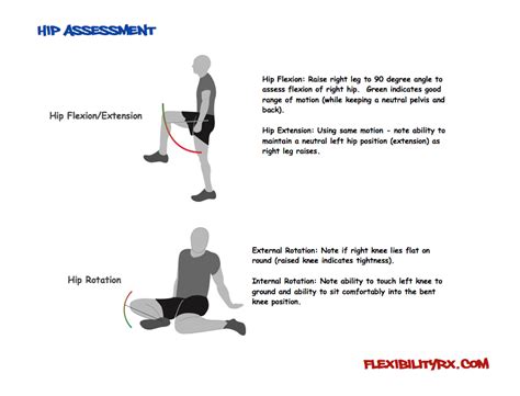 Hip Flexor Mobility