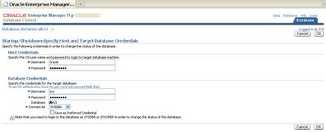 creating a standard audit trail in oracle database 11g