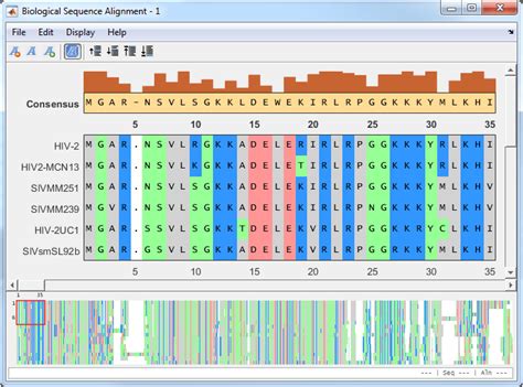 visualize and edit multiple sequence alignments matlab