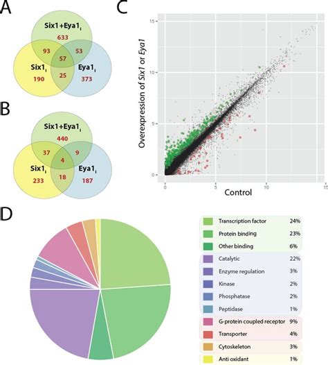 Figures And Data In Dissecting The Pre Placodal Transcriptome To Reveal