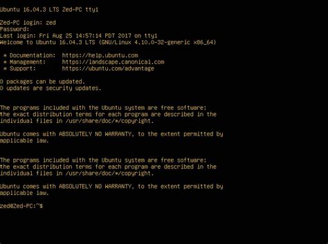 command line cannot get to the login screen but a yellow colored