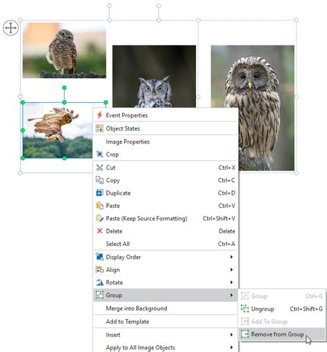 how to group objects in activepresenter 9 atomi systems inc