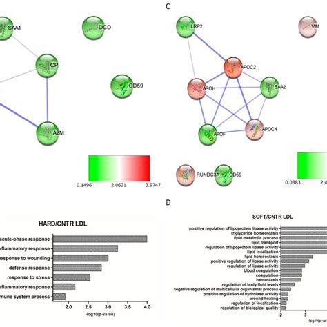 Protein Protein Interaction Ppi Network And Gene Ontology Go