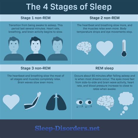 What Are The Stages Of Sleep